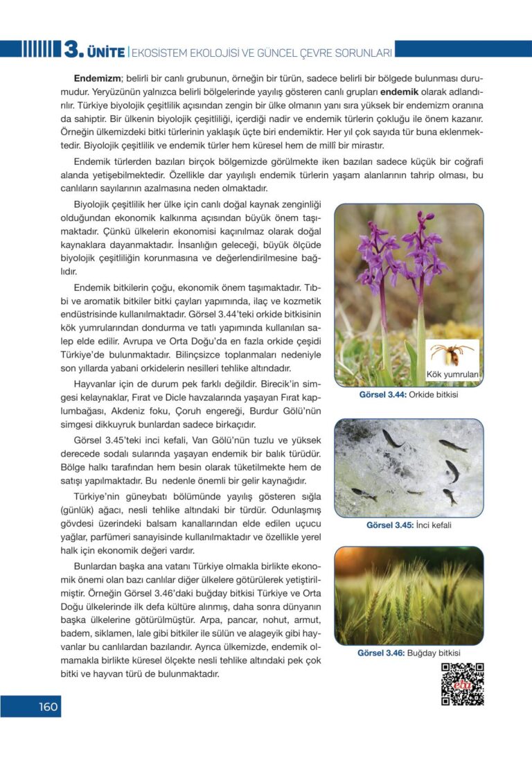 10. Sınıf Biyoloji Ders Kitabı Pasifik Yayınları Sayfa 160 Cevapları - derskitabicevaplarim.com