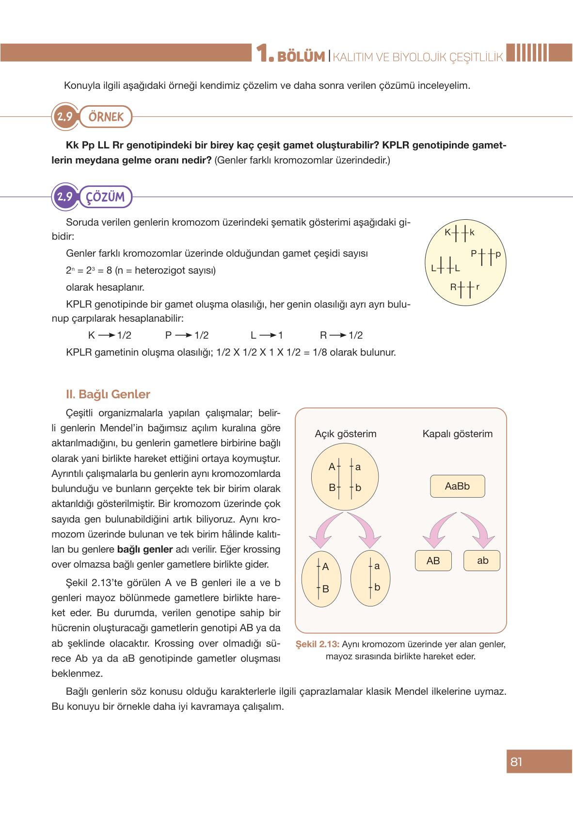 10. Sınıf Biyoloji Ders Kitabı Pasifik Yayınları Sayfa 81 Cevapları – derskitabicevaplarim.com