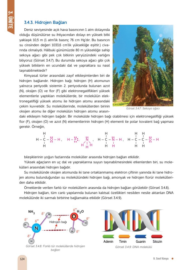 9. Sınıf Kimya Ders Kitabı Hecce Yayınları Sayfa 124 Cevapları – derskitabicevaplarim.com